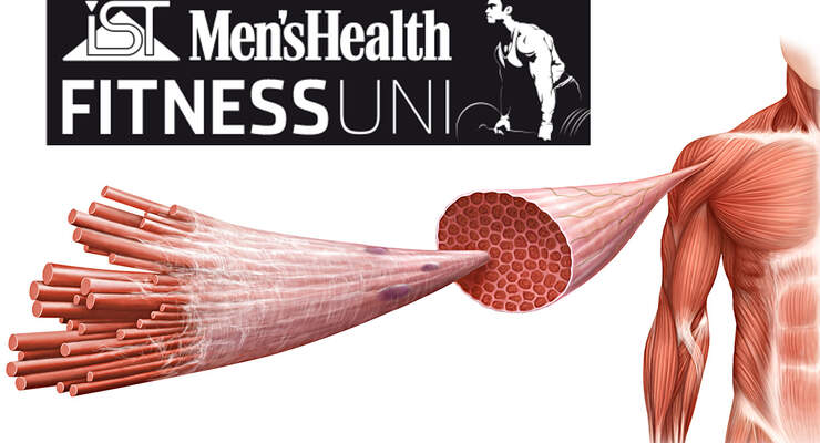 Faszientraining: Das sind die effektivsten Übungen - MEN'S HEALTH