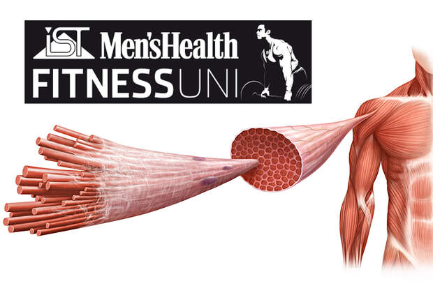 Faszientraining: Das sind die effektivsten Übungen - MEN'S HEALTH