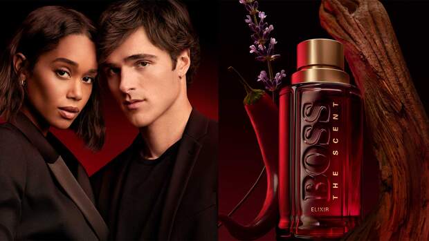 Die besten Männer-Düfte für jedes Budget | MEN'S HEALTH