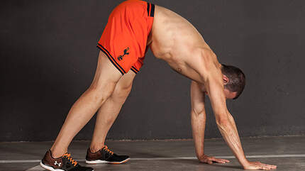 Mit Animal Moves rundum fit werden