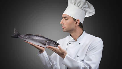 Die gesündesten Fischarten